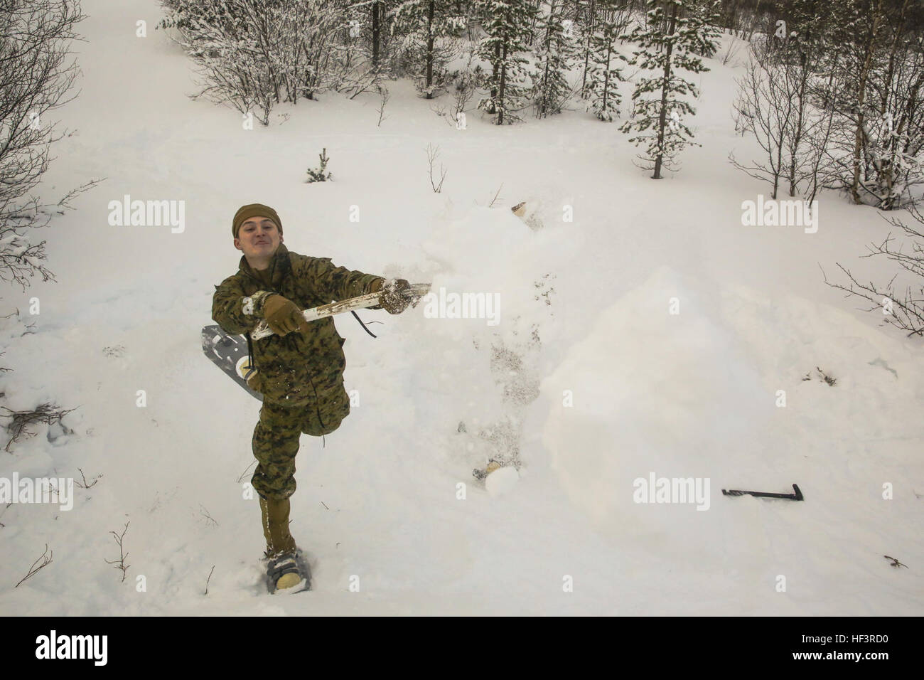 Royal marine commandos in arctic hi-res stock photography and images ...