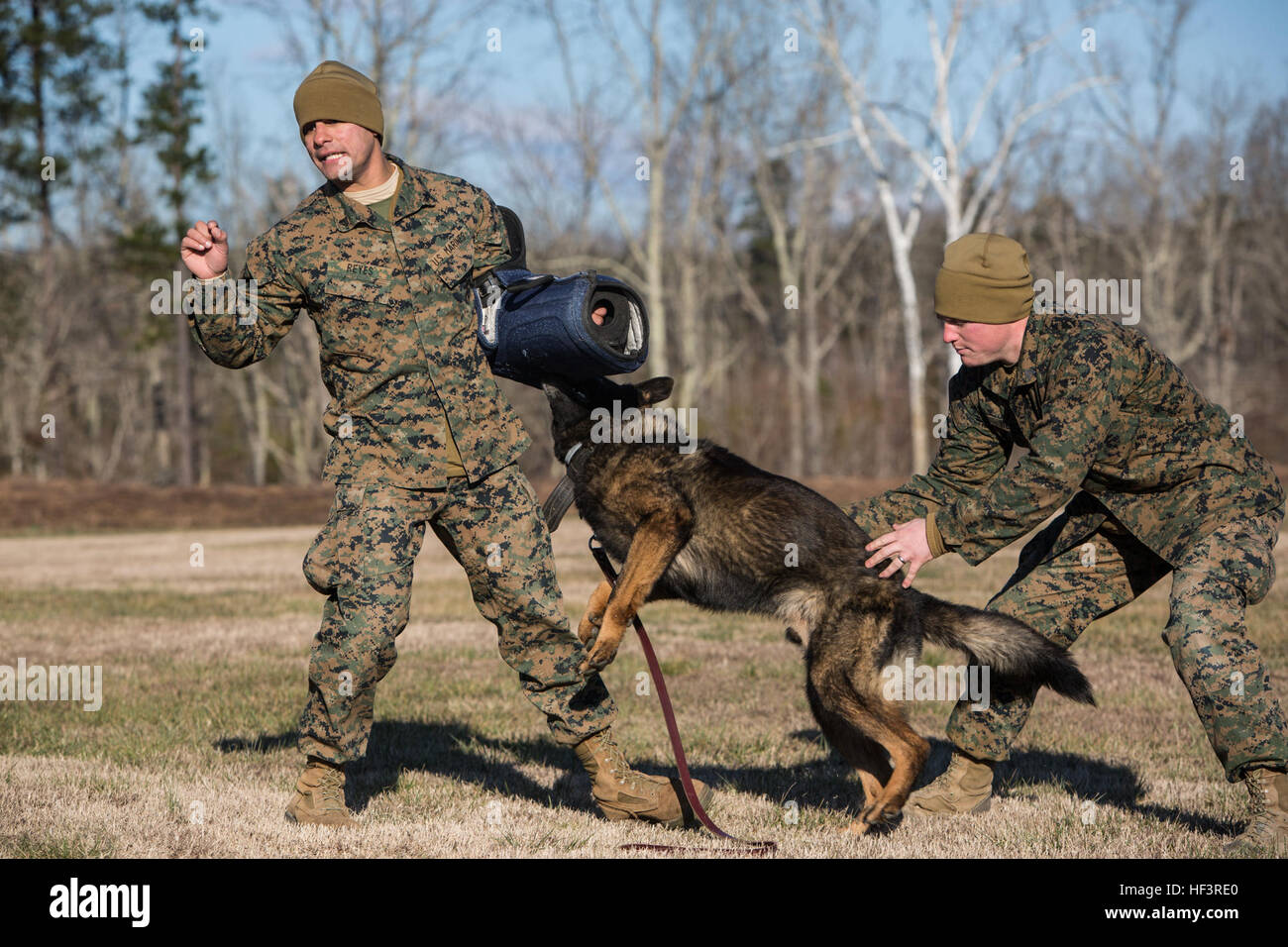 U.S. Marine Corps Cpl. Daryl A. Reyes, left, and Sgt. Seth W. Heustis ...