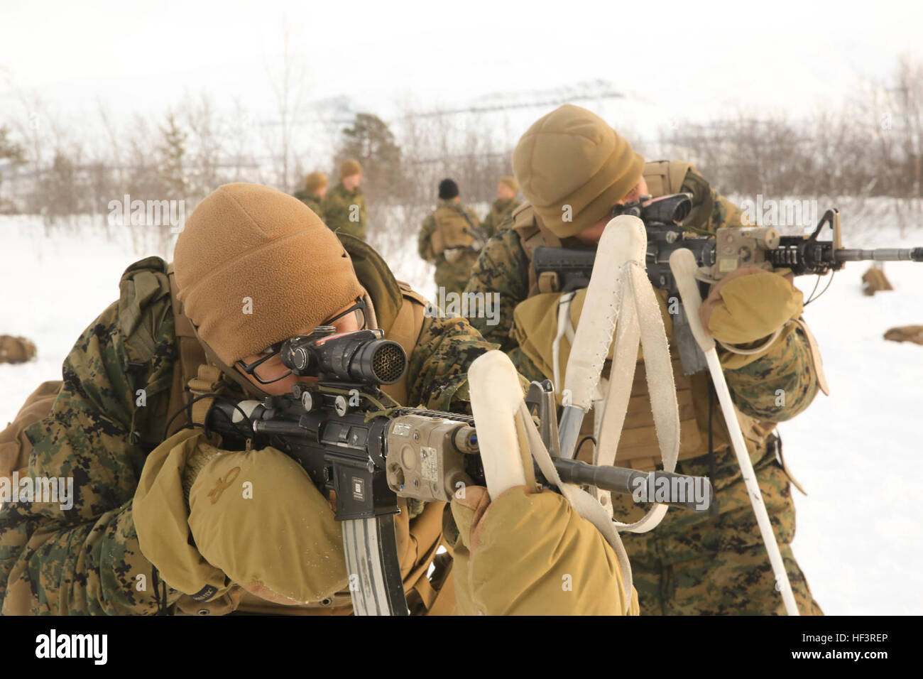 Royal marine commandos in arctic hi-res stock photography and images ...