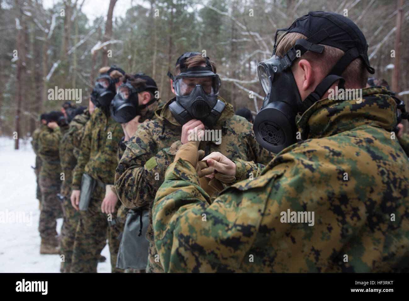 M50 joint service general purpose gas mask hi-res stock photography and ...