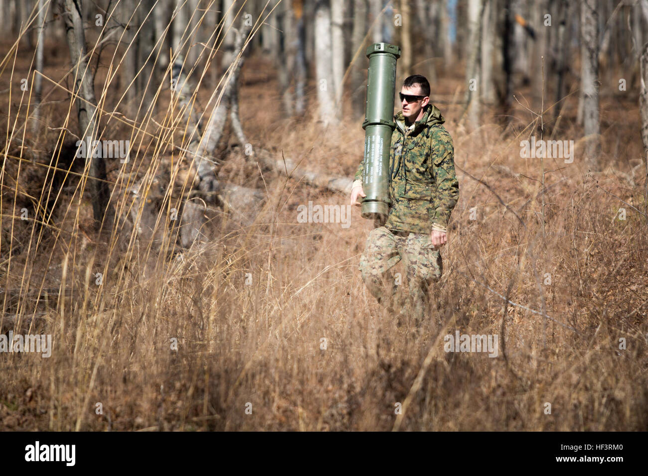 An Explosive Ordnance Disposal Marine with Combat Logistics Battalion ...
