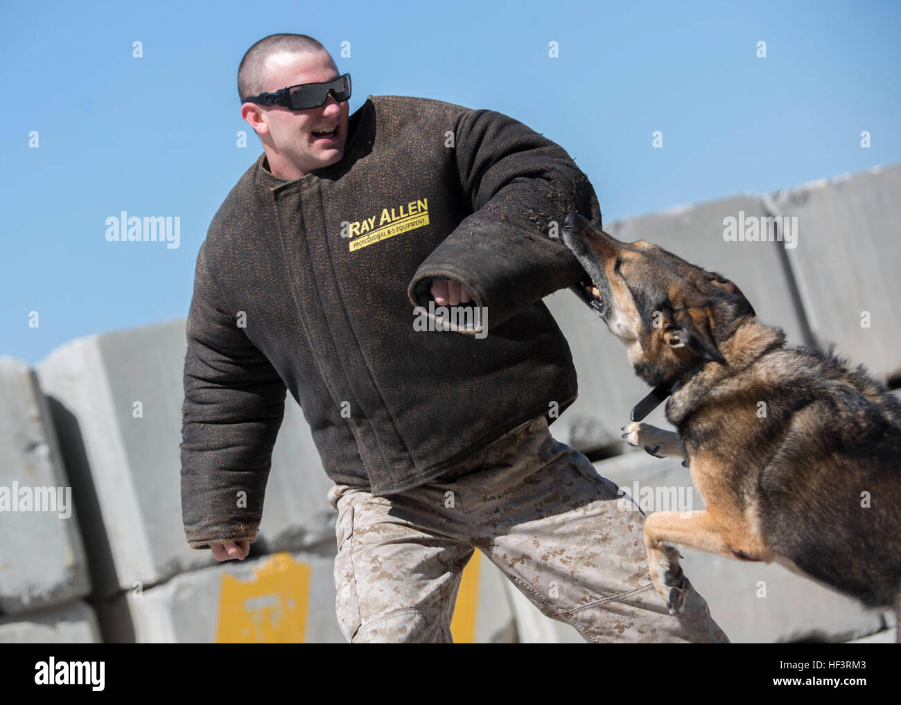 U.S. Marine Lance Cpl. Evan D. Johnson, a military police officer with ...