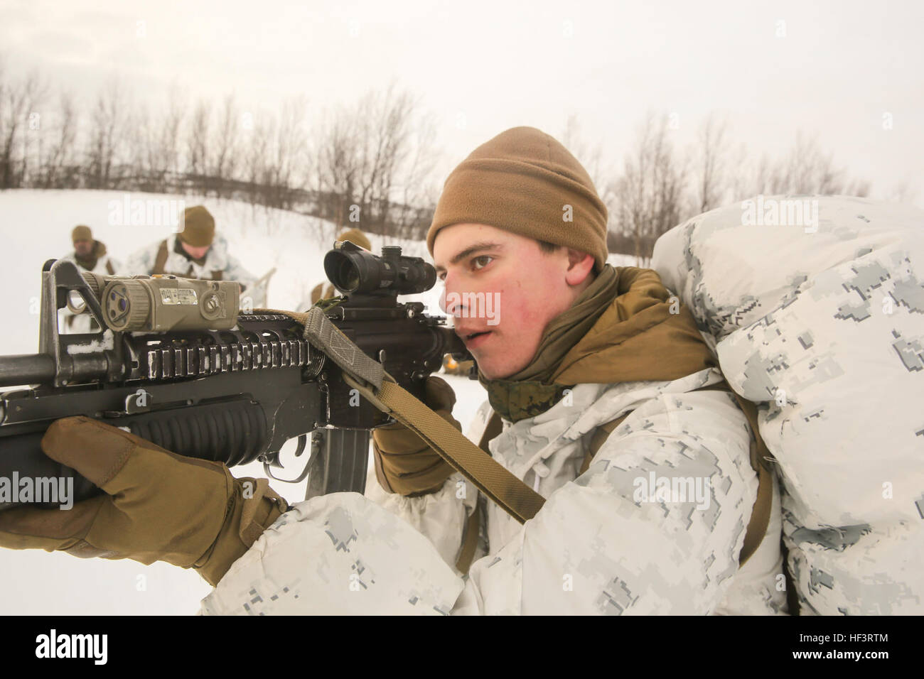 Royal marines in arctic hi-res stock photography and images - Alamy