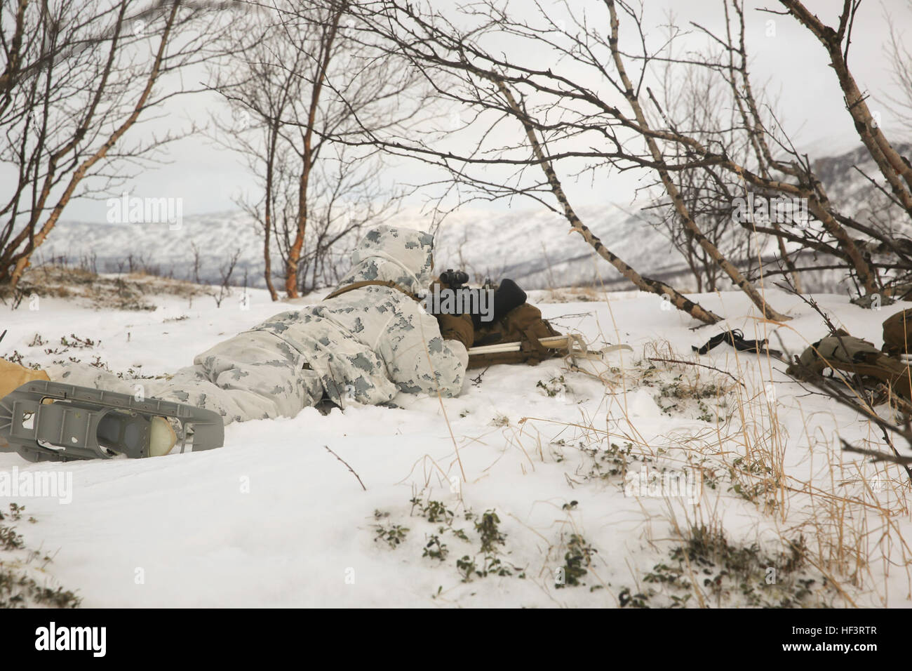 Royal marines in arctic hi-res stock photography and images - Alamy