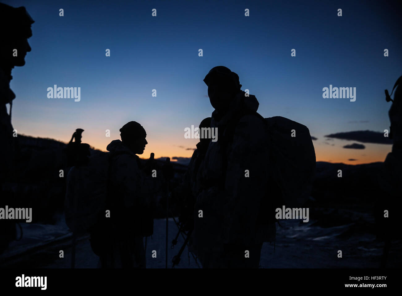 Royal marines in arctic hi-res stock photography and images - Alamy