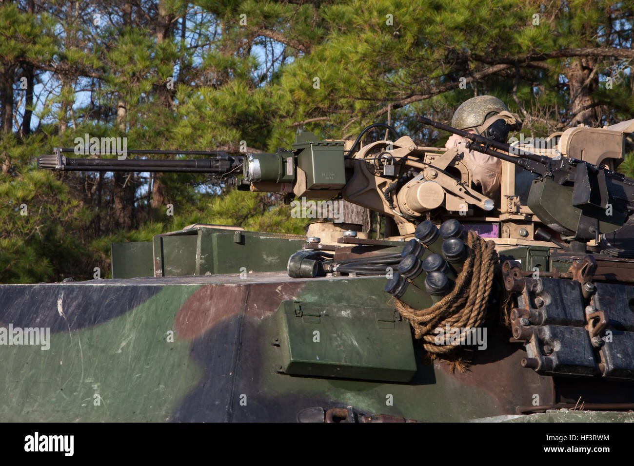 U.S. Marines with 2d Tank Battalion, 2d Marine Division (2D MARDIV ...