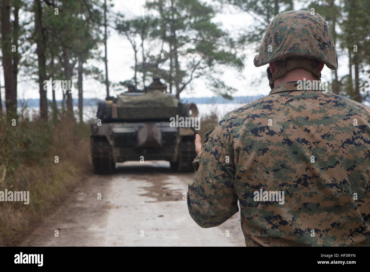 A U.S. Marine with 2d Tank Battalion, 2d Marine Division (2D MARDIV ...