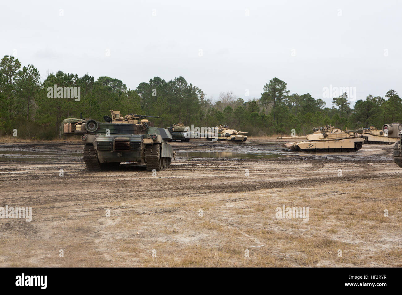 U.S. Marines with 2d Tank Battalion, 2d Marine Division (2D MARDIV ...