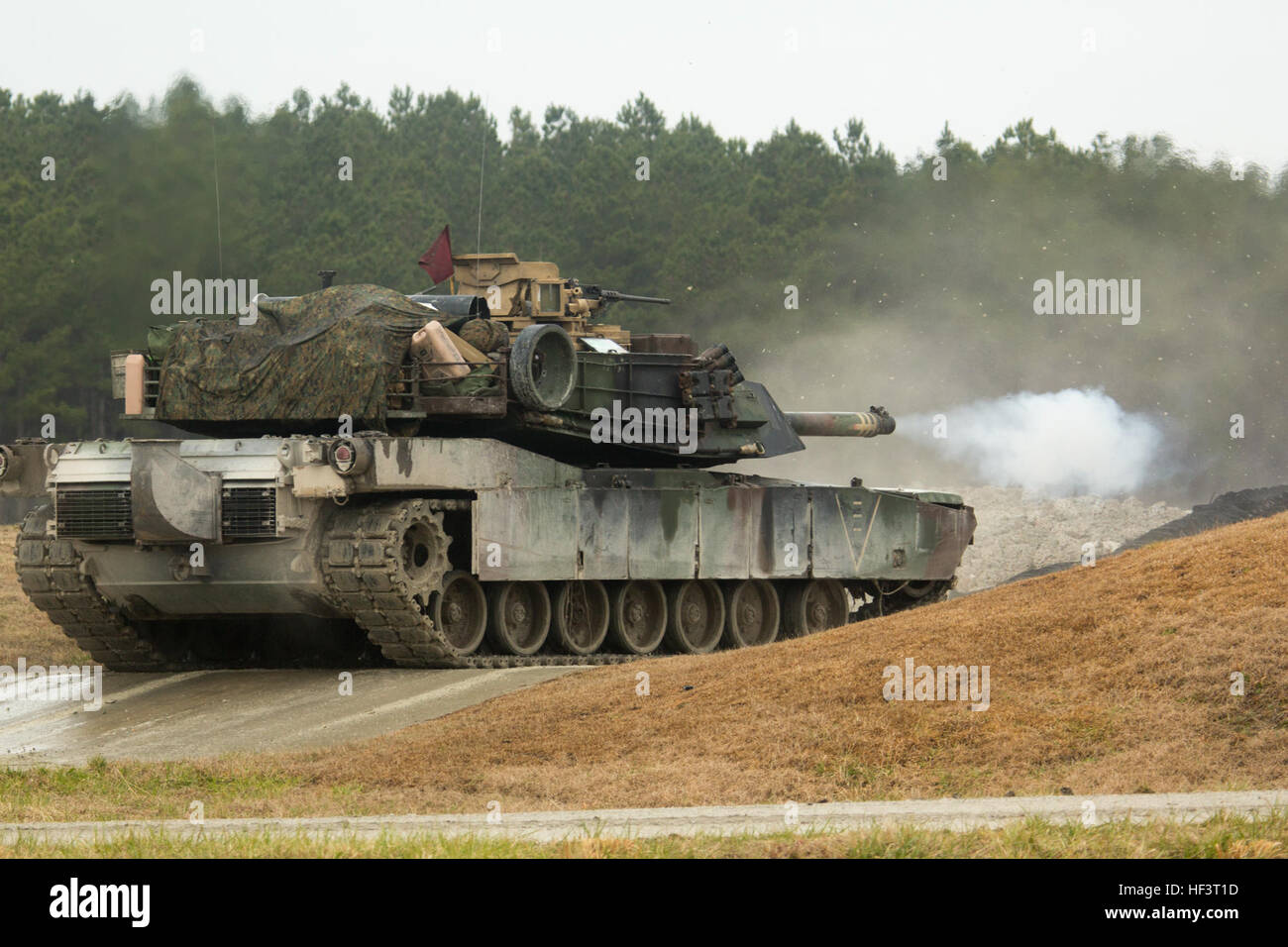 U.S. Marines with 2d Tank Battalion, 2d Marine Division (2D MARDIV ...