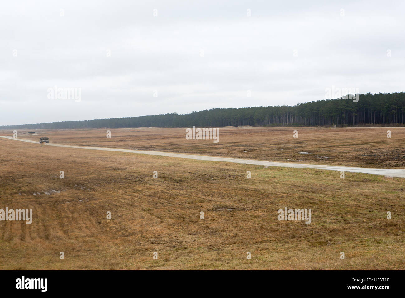 U.S. Marines with 2d Tank Battalion, 2d Marine Division (2D MARDIV ...
