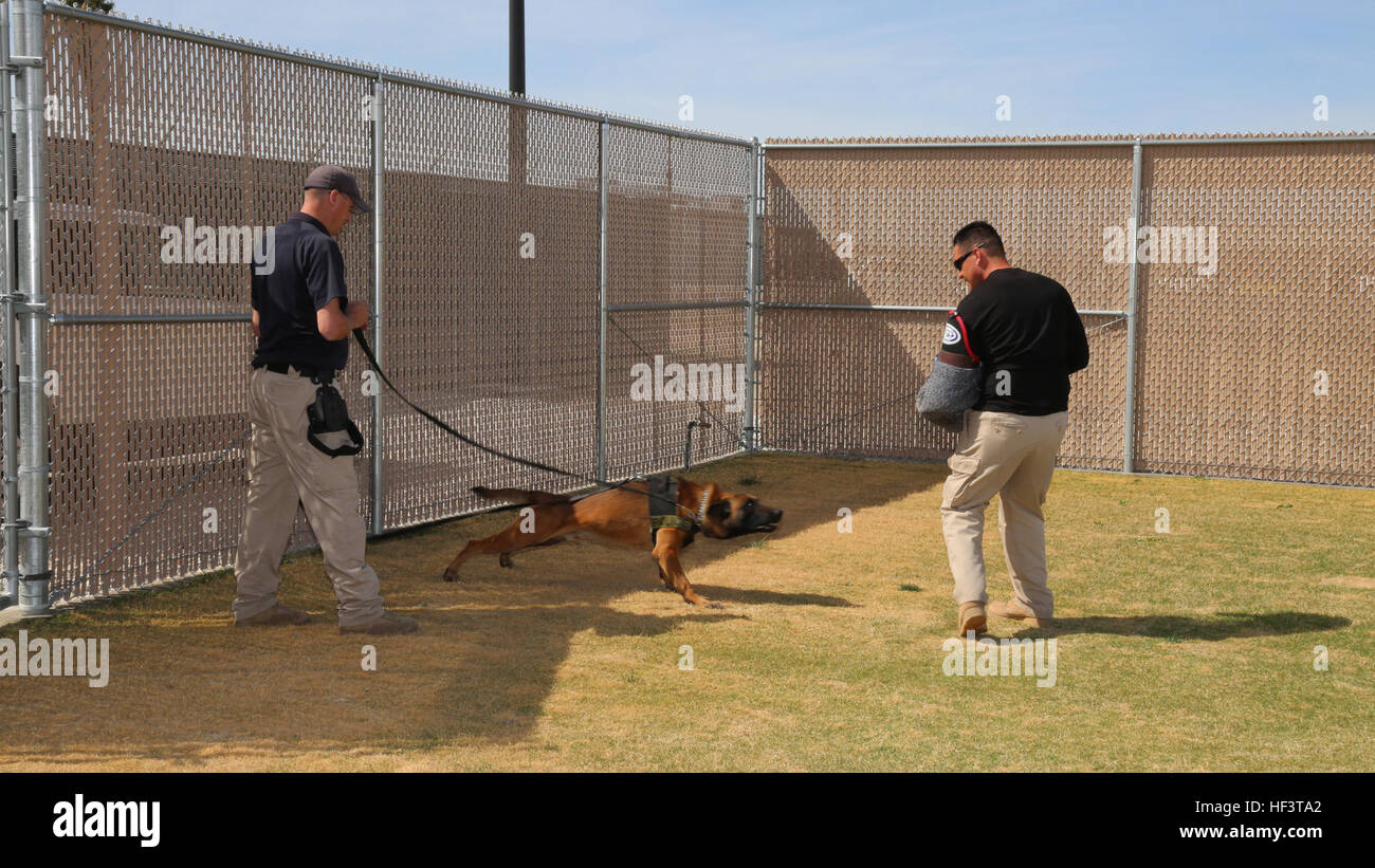 Officers Sgt. Steven Goss and Cpl. Gilberto Navarrete, engage in ...