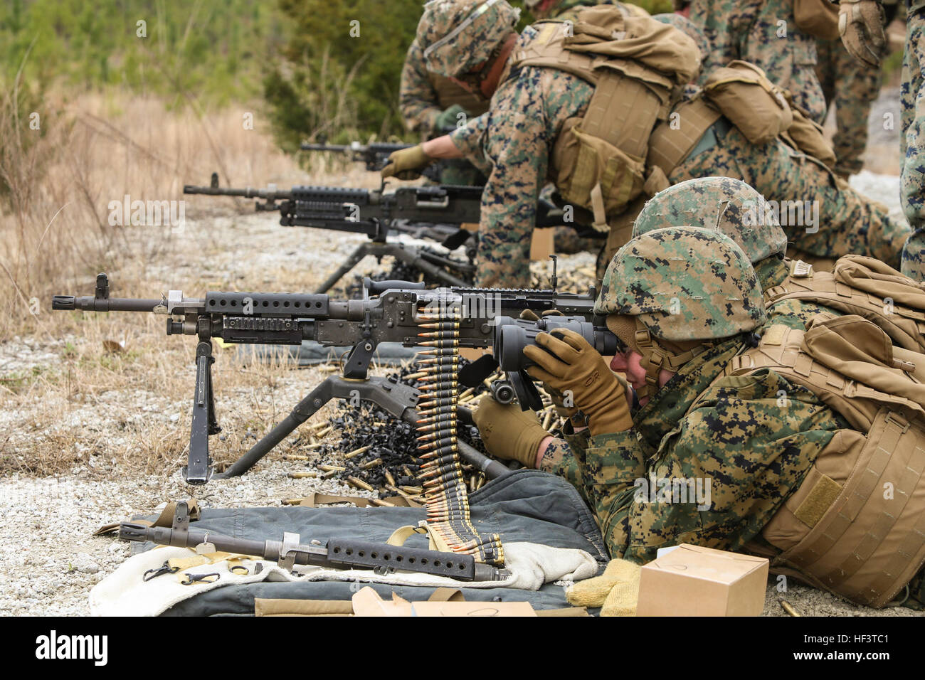 Marines with Bravo Company, 2nd Law Enforcement Battalion, participated ...