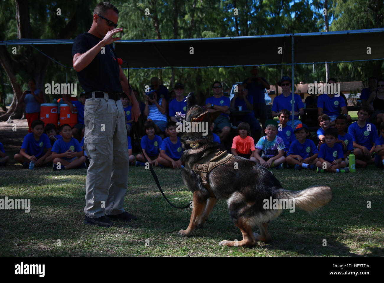 Provost marshals office military working dogs hi-res stock photography ...
