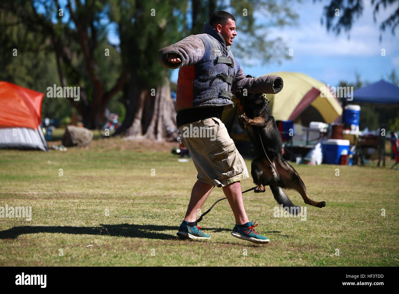 Police Officer Travis Cleaveland, a military working dog handler for ...