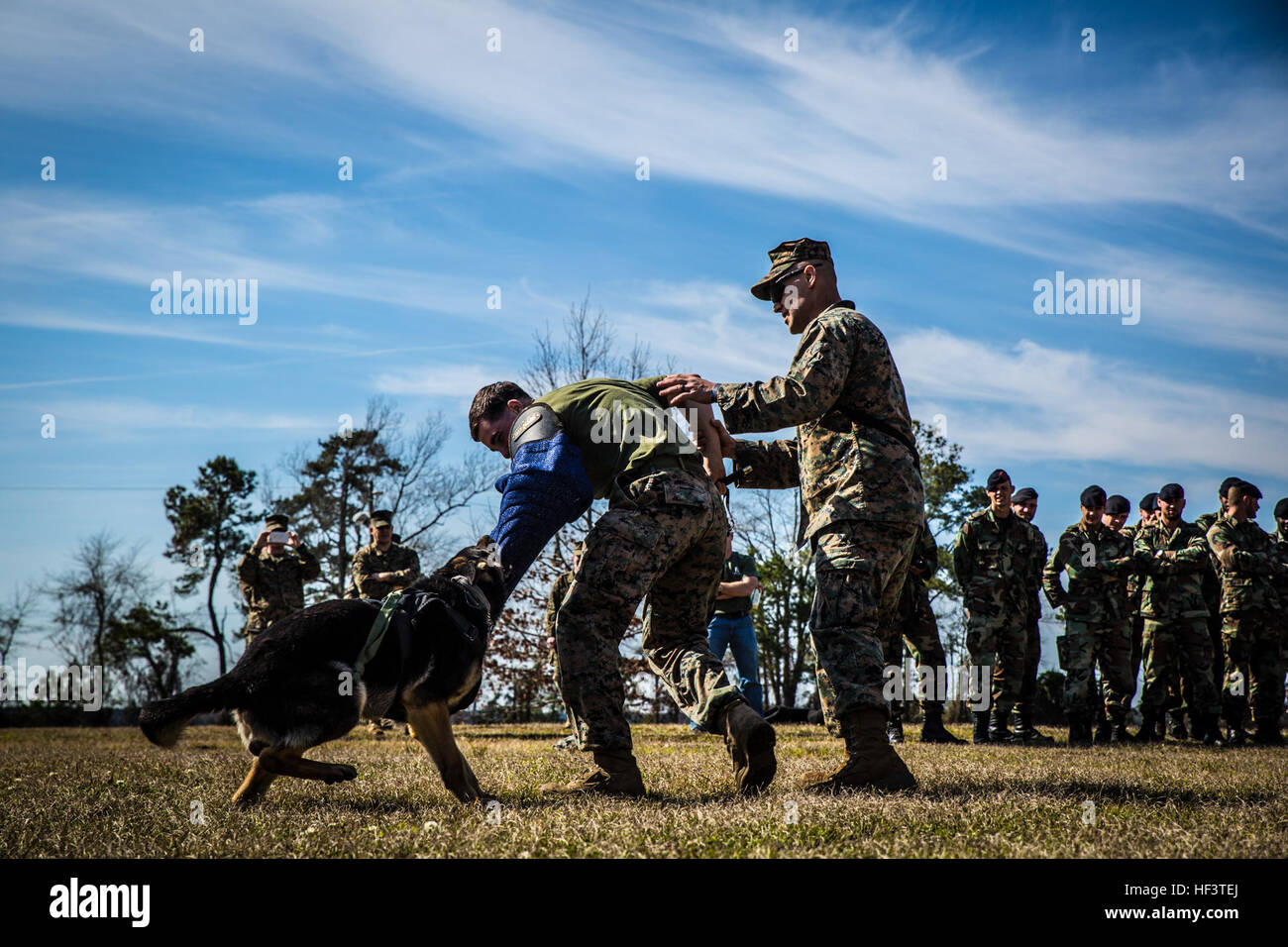 A military policeman with 2nd Law Enforcement Battalion demonstrates ...