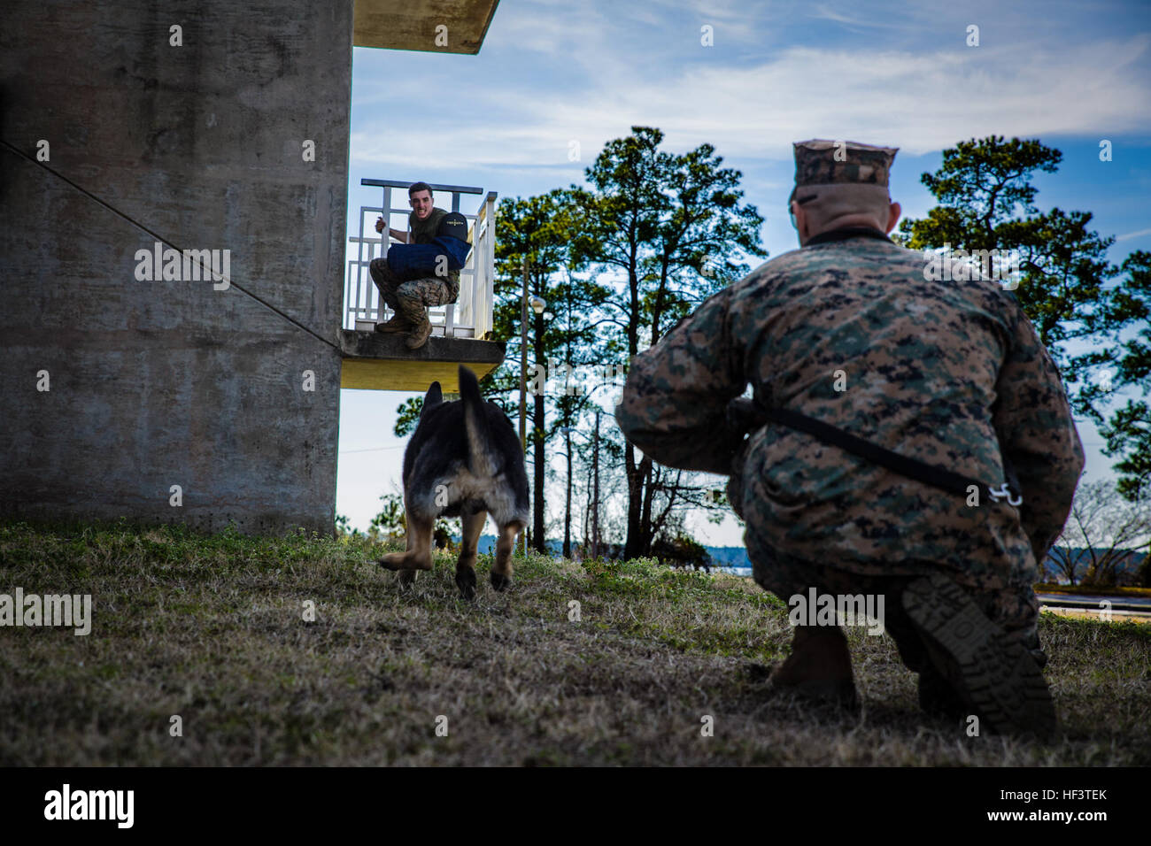 Military working dog support unit hi-res stock photography and images ...
