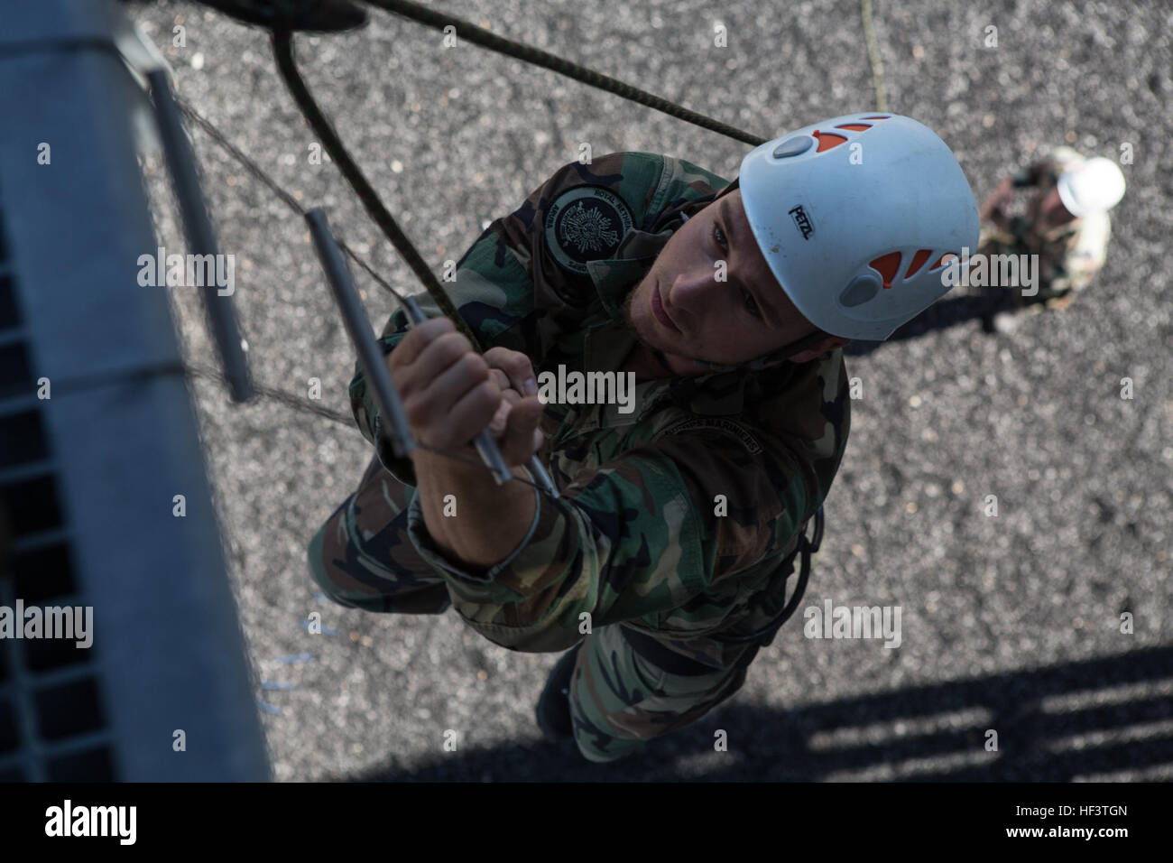 A Royal Netherlands Marine rappels during a fast roping exercise at the ...