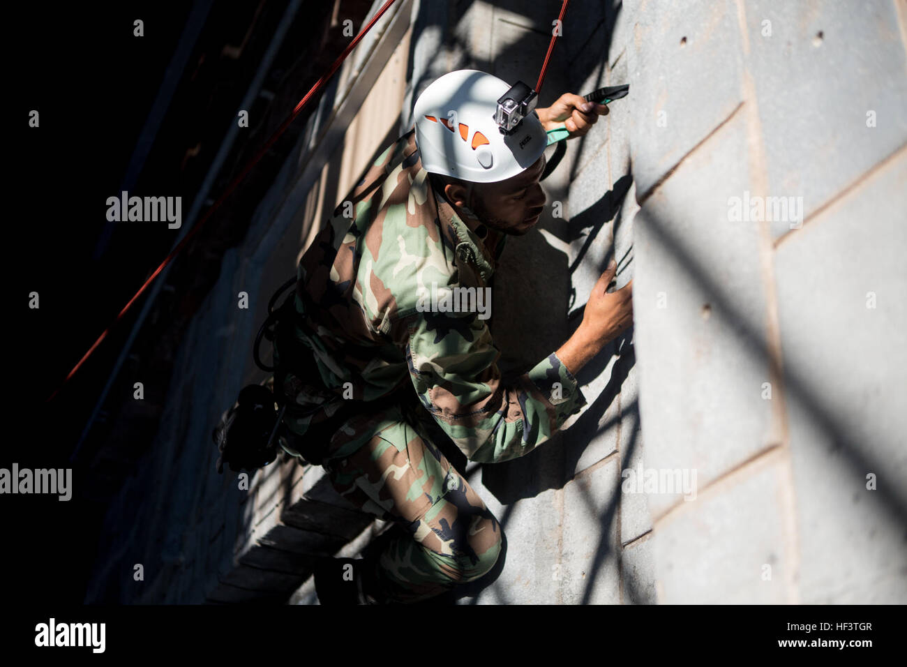 A Royal Netherlands Marine rappels while conducting urban climbing ...