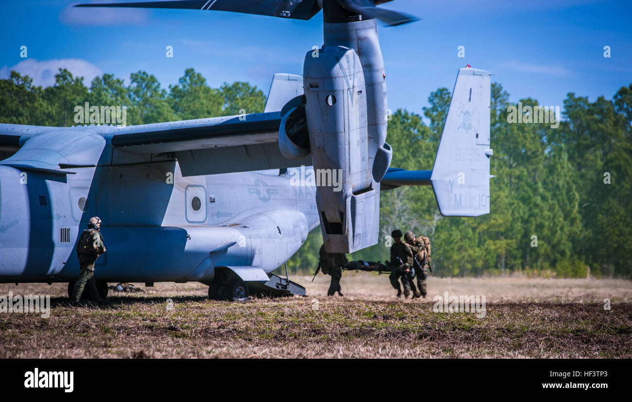 Marines with 2nd Combat Engineer Battalion, load a casualty onto an MV ...