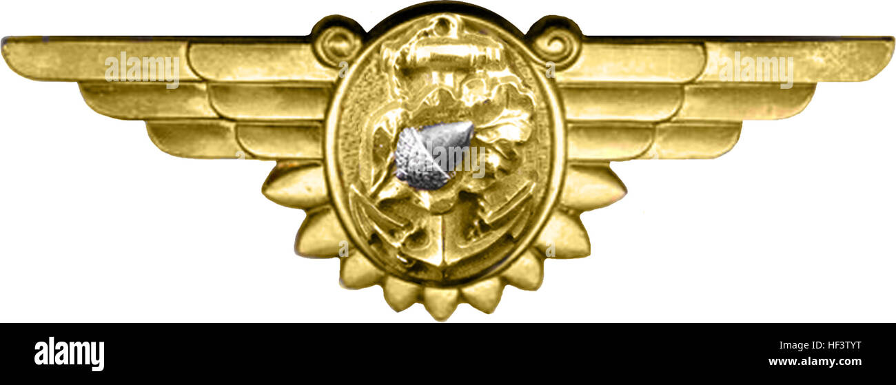 WWII Naval Flight Nurse Insignia Stock Photo - Alamy