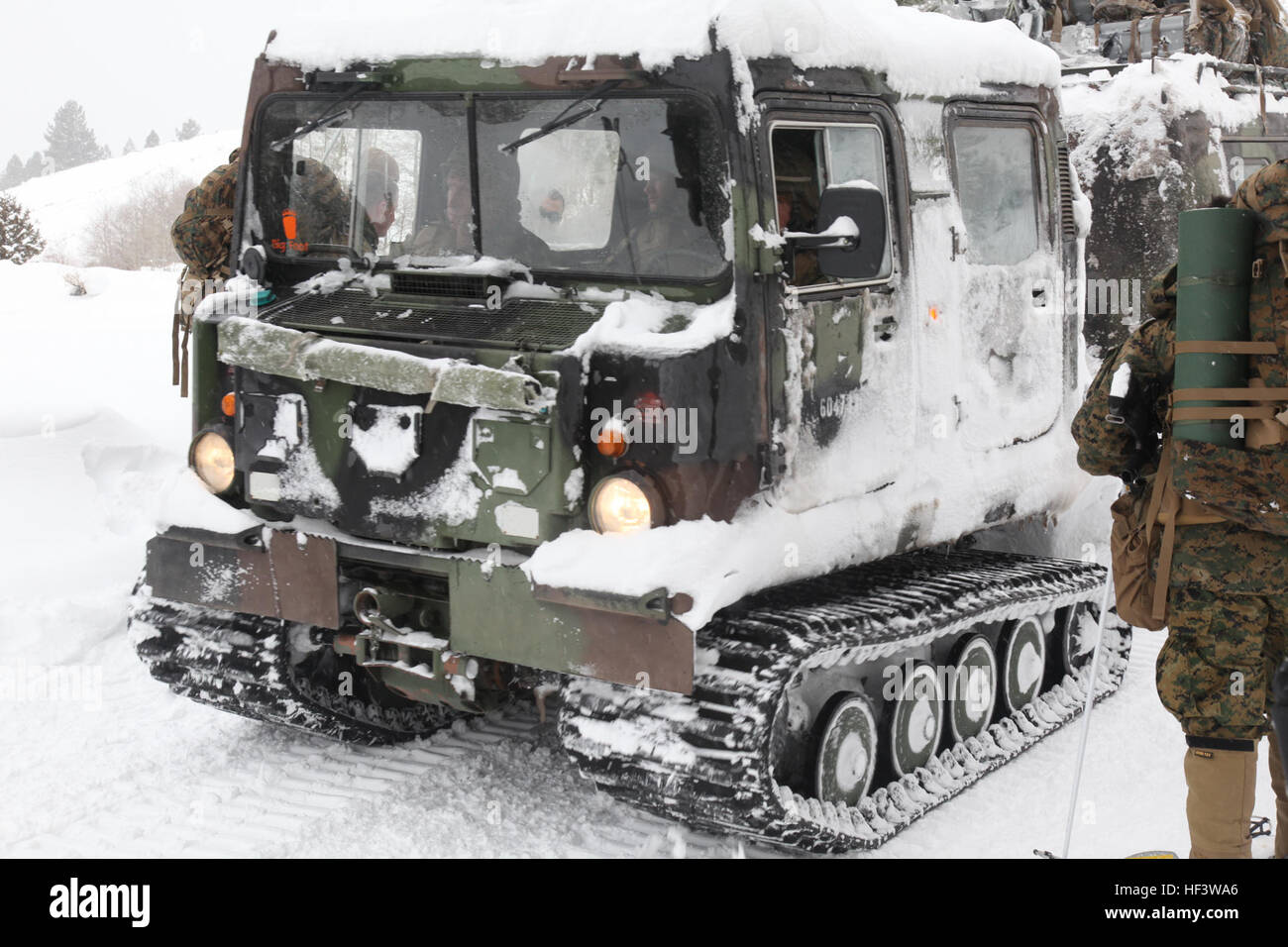 Swedish H?gglunds Bv206 tracked vehicles are used to transport U.S ...
