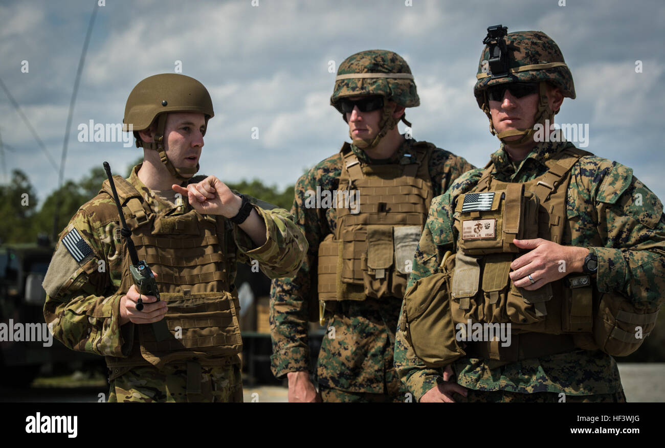 U.S. Marines with 2nd Air Naval Gunfire Liaison Company oversee a joint ...