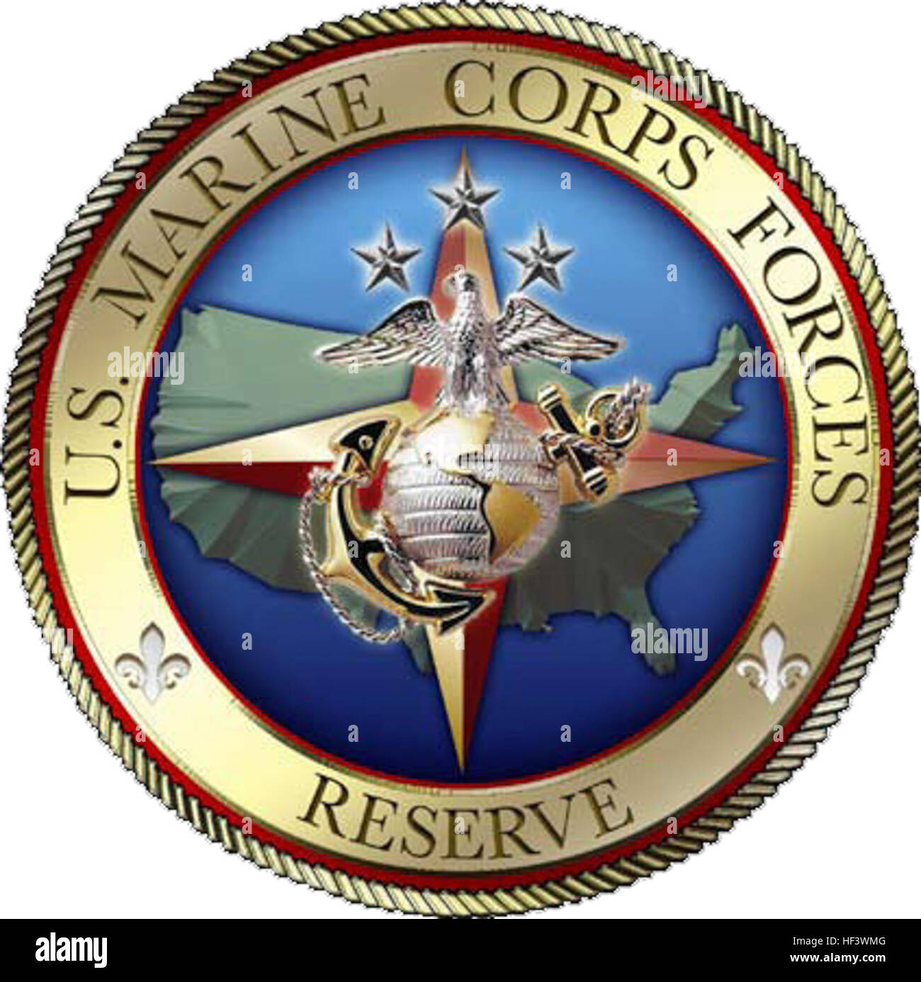 The Marine Forces Reserve insignia signifies affiliation with the U.S ...