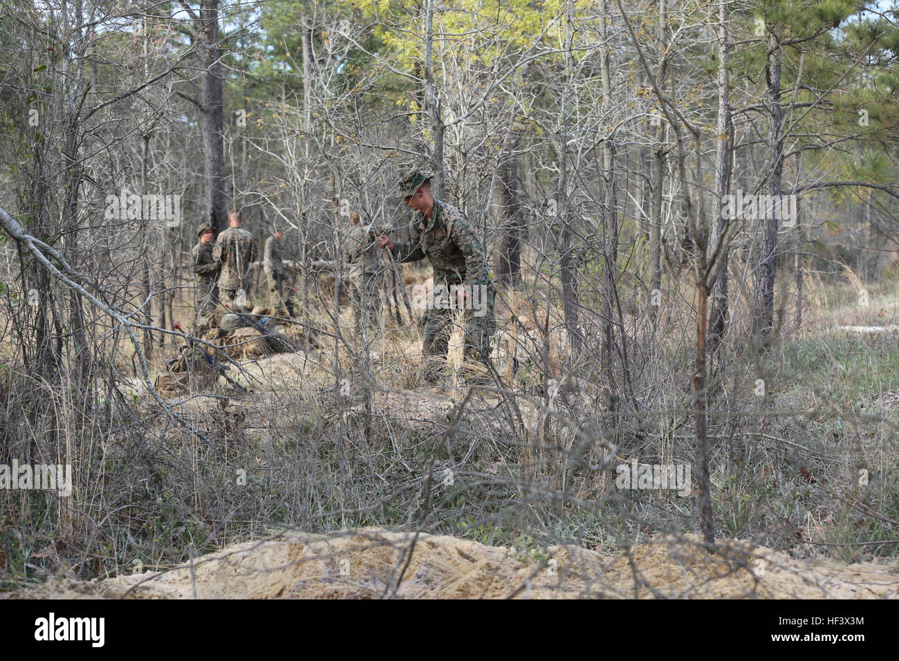 Marines with 2nd Combat Engineer Battalion, 2nd Marine Division ...