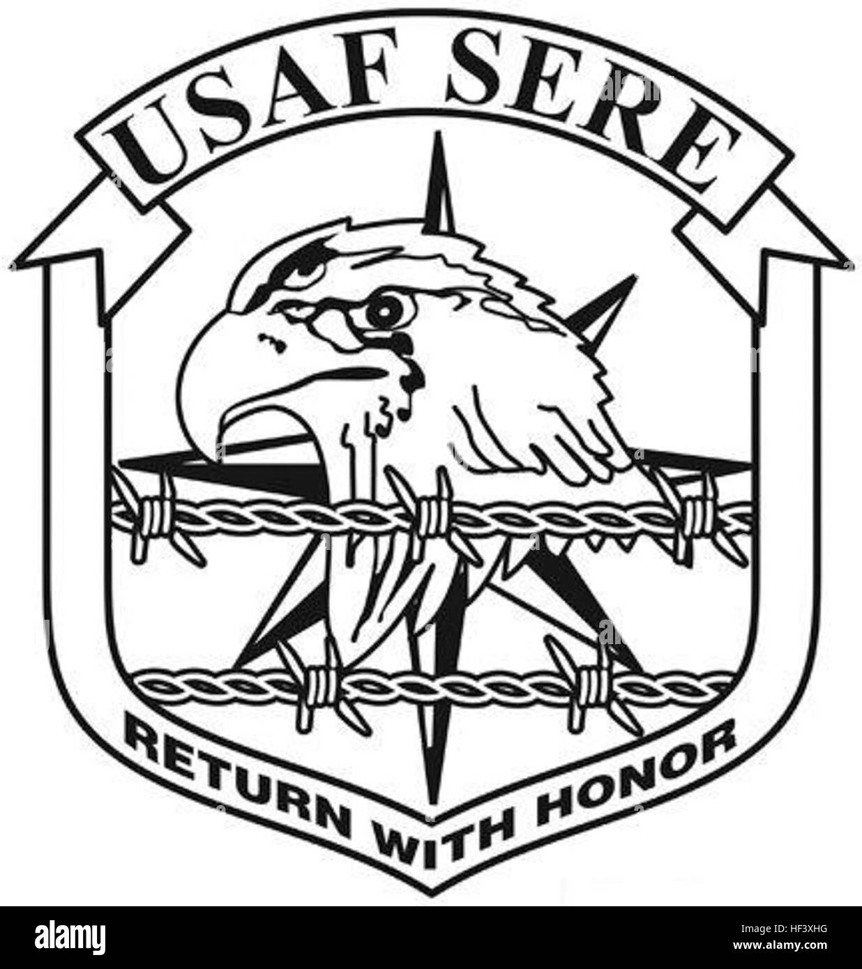 Sere Logo Air Force Beret Badge: Survival Evasion Resistance Escape: