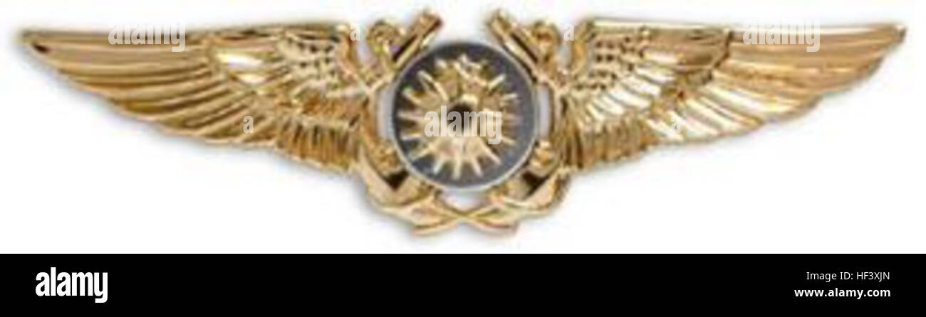 Marine Aerial Navigator Insignia Stock Photo - Alamy