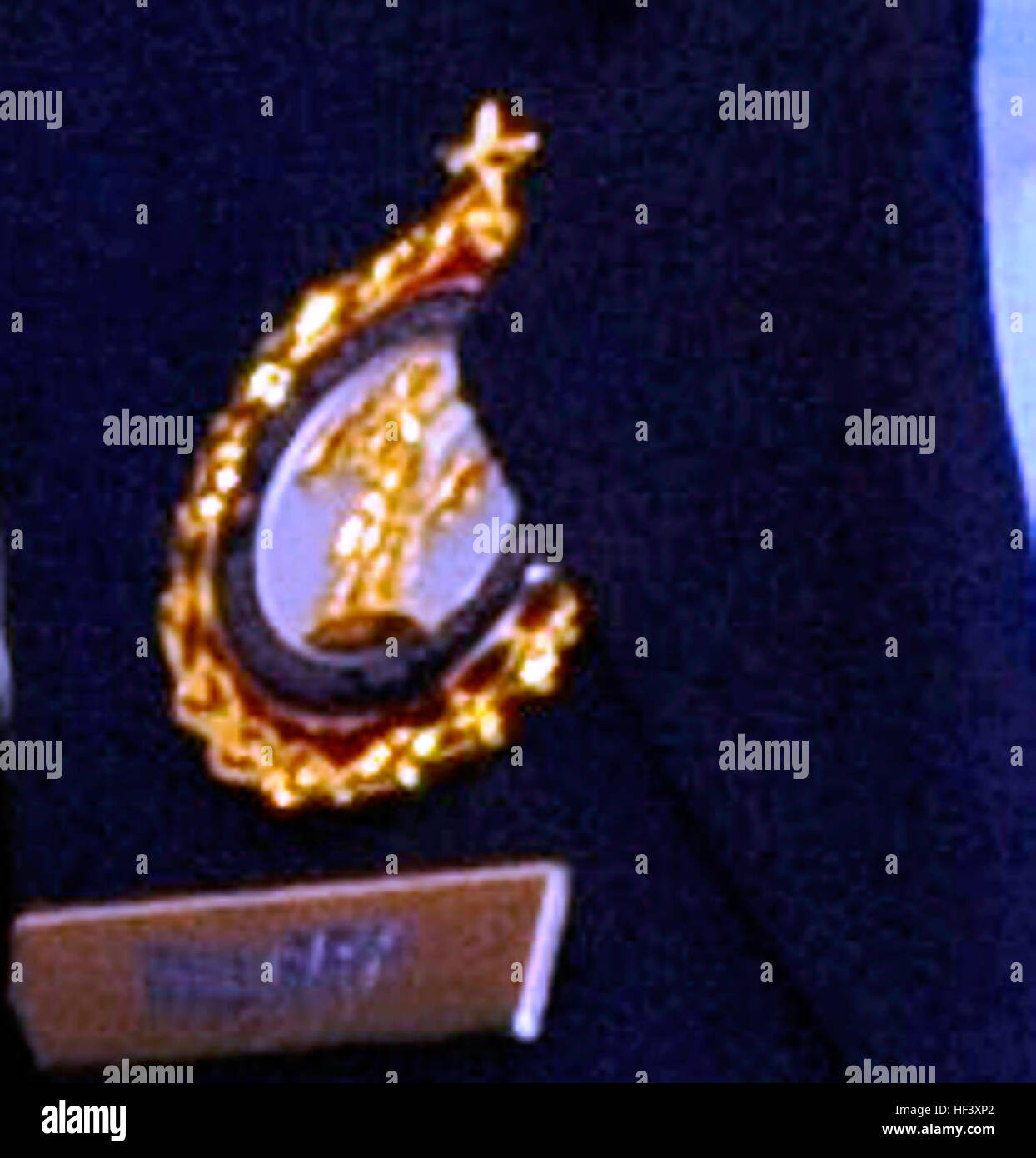 ANG Senior Gold Recruiting Service Badge Stock Photo - Alamy