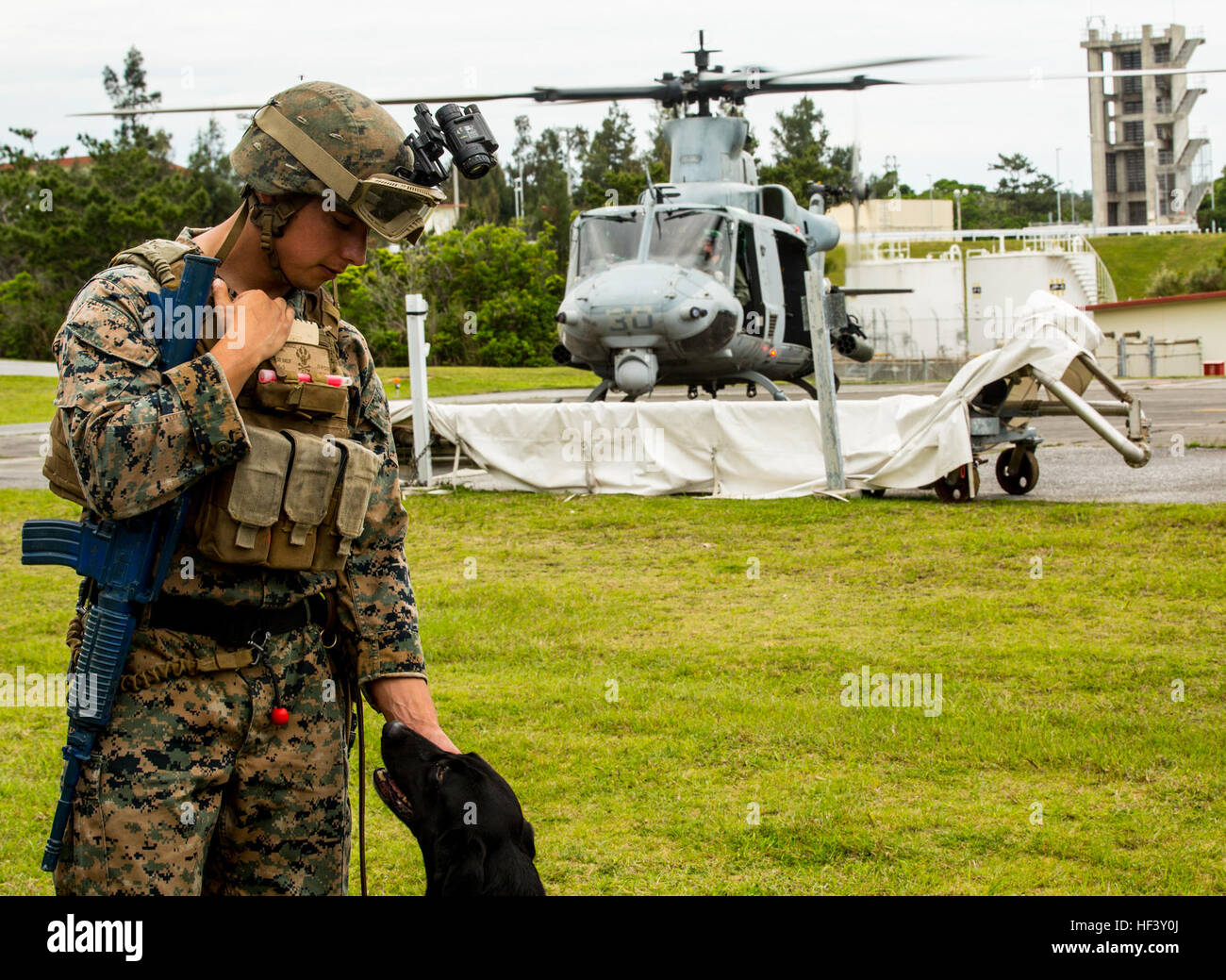 Maritime field and dog hi-res stock photography and images - Alamy