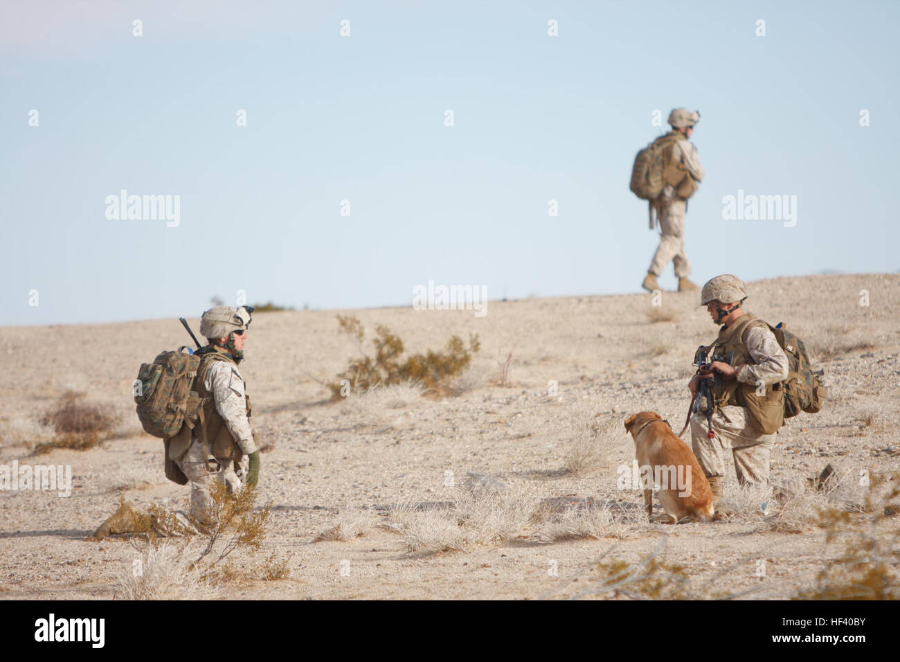 1st military working dog regiment hi-res stock photography and images ...