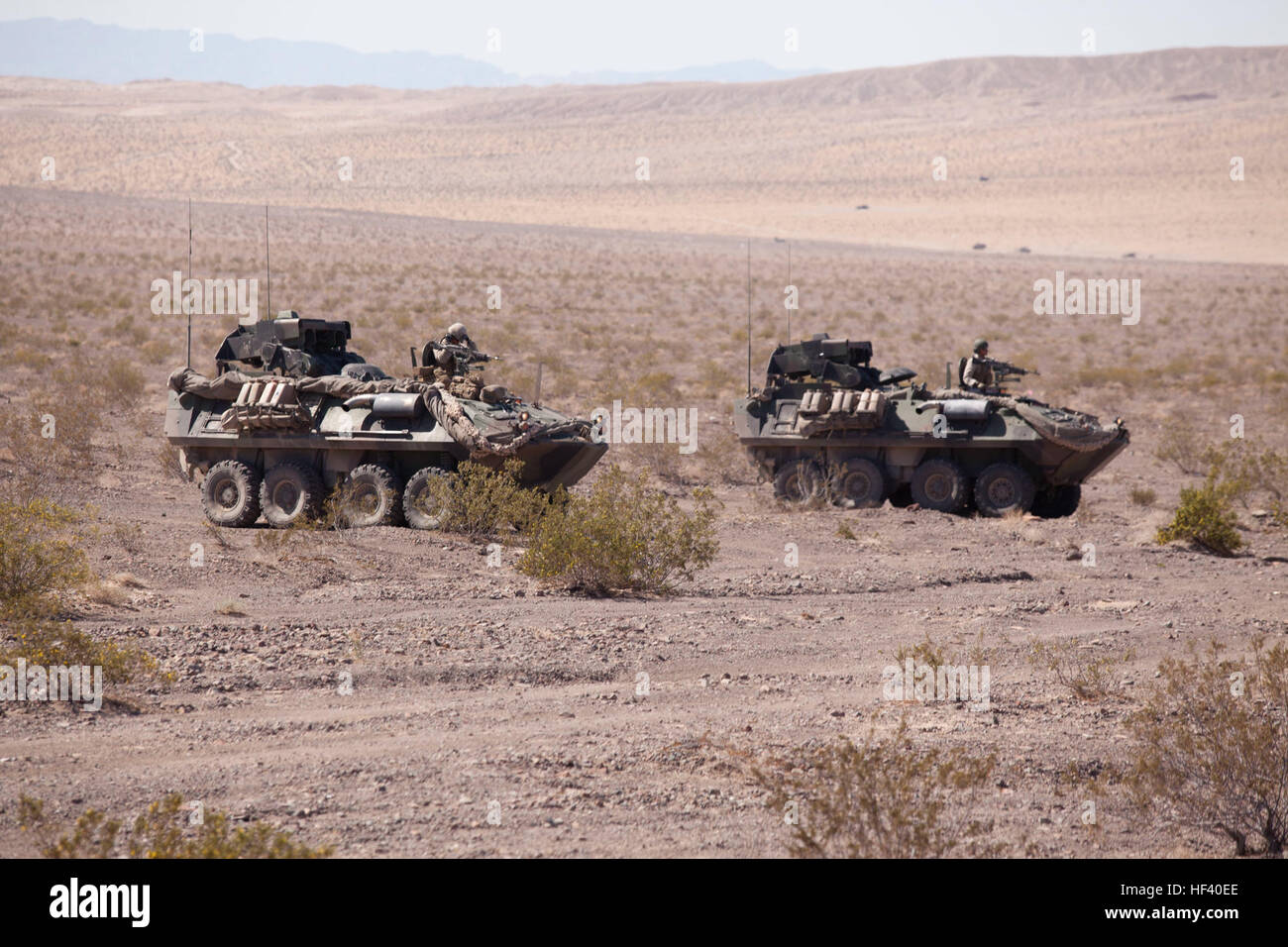 2nd light armored reconnaissance battalion hi-res stock photography and ...