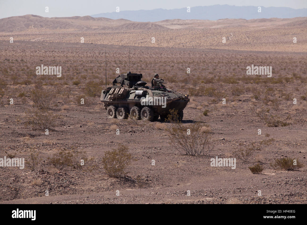 U.S. Marines with 2nd Light Armored Reconnaissance Battalion, Bravo ...