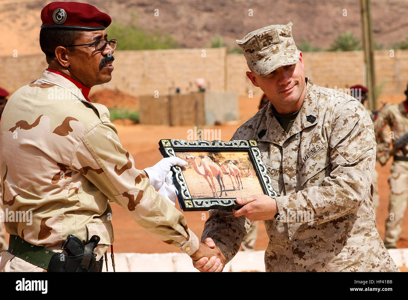 Sgt. Maj. Daniel Wilson, Sergeant Major of the Logistics Combat Element ...