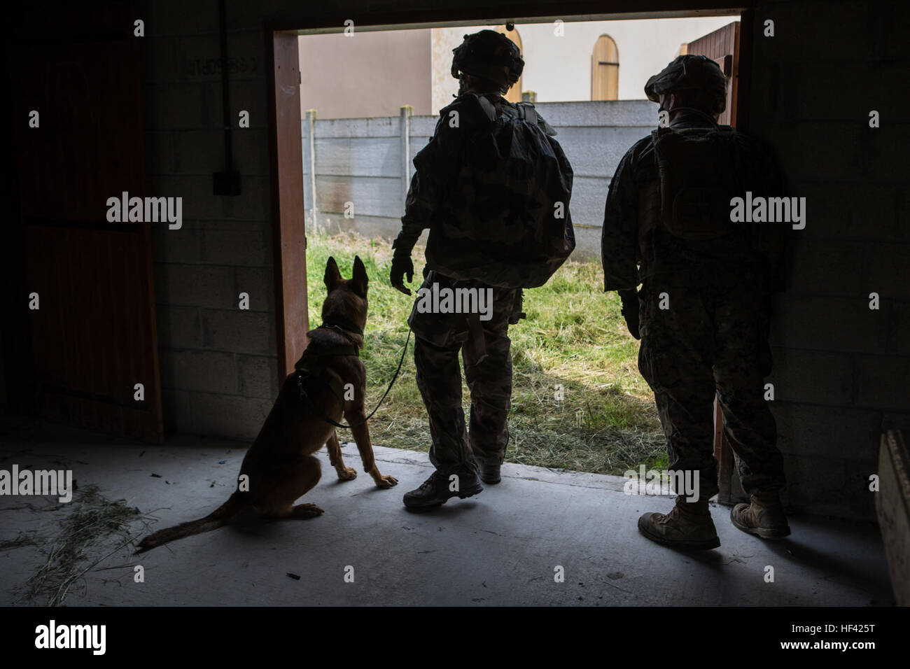A French Army dog handler with the 34th Infantry Regiment and U.S ...