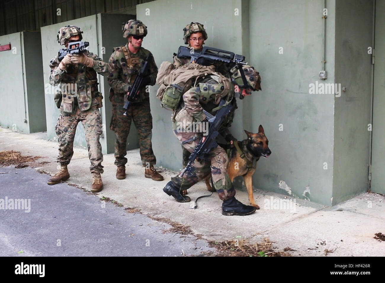 French army special forces command hi-res stock photography and images ...