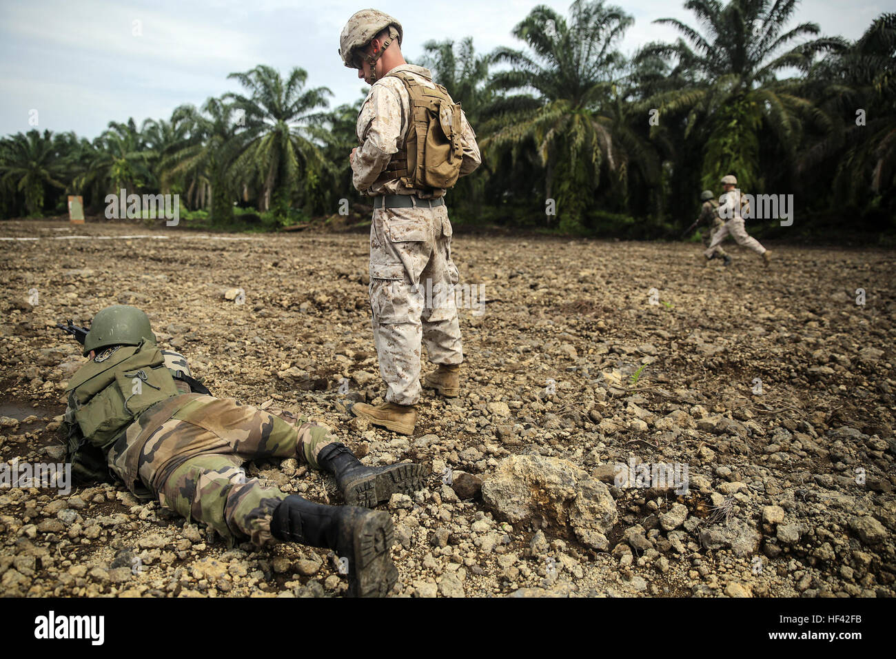 Marines with Special Purpose Marine Air-Ground Task Force Crisis ...
