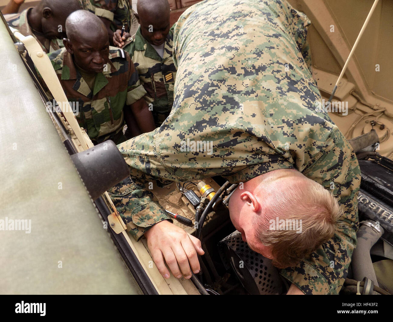 Cpl. Gregory Taylor, a motor transport mechanic with Special Purpose ...
