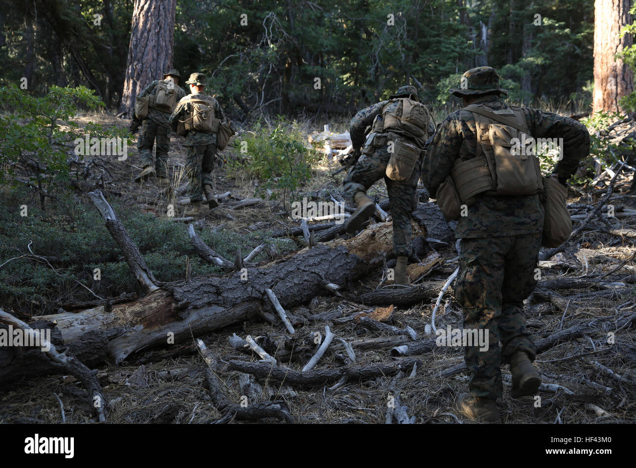 Marines with Company K, 3rd Battalion, 4th Marine Regiment, traverse a ...