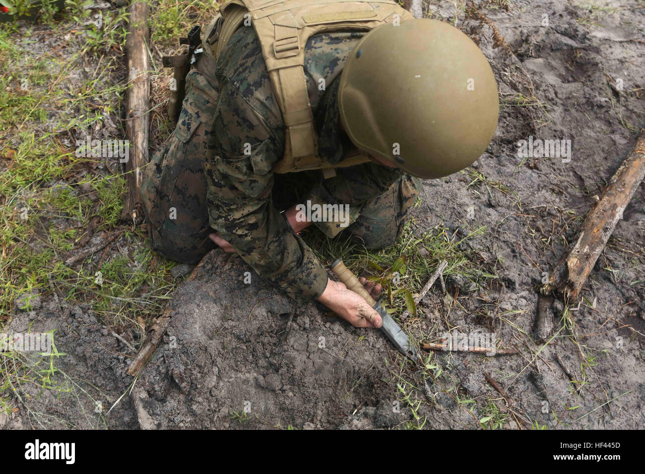A U.S. Marine with Explosive Ordinance Disposal (EOD) Company, 8th ...