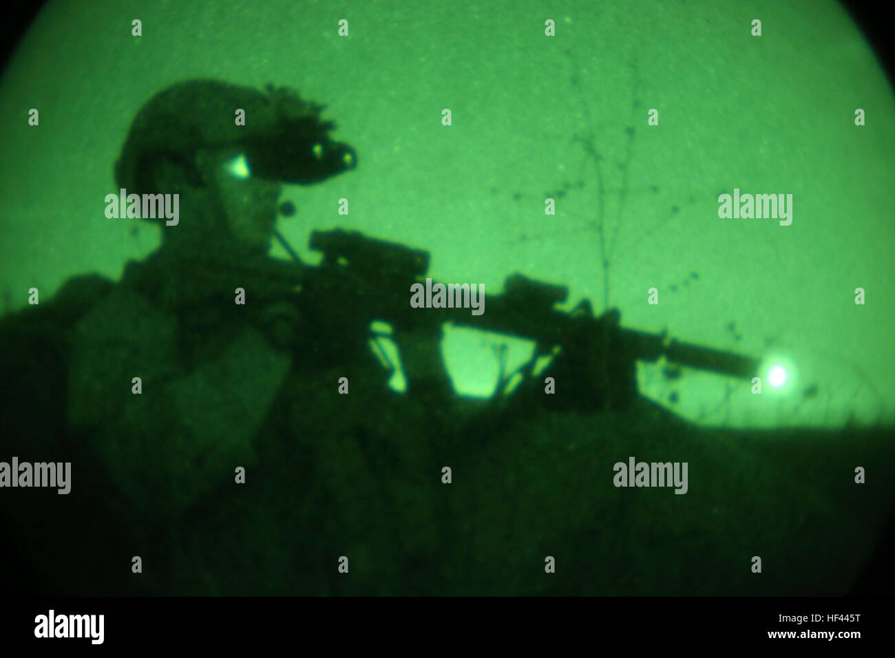 A Marine with Company B, 1st Reconnaissance Battalion, 1st Marine ...