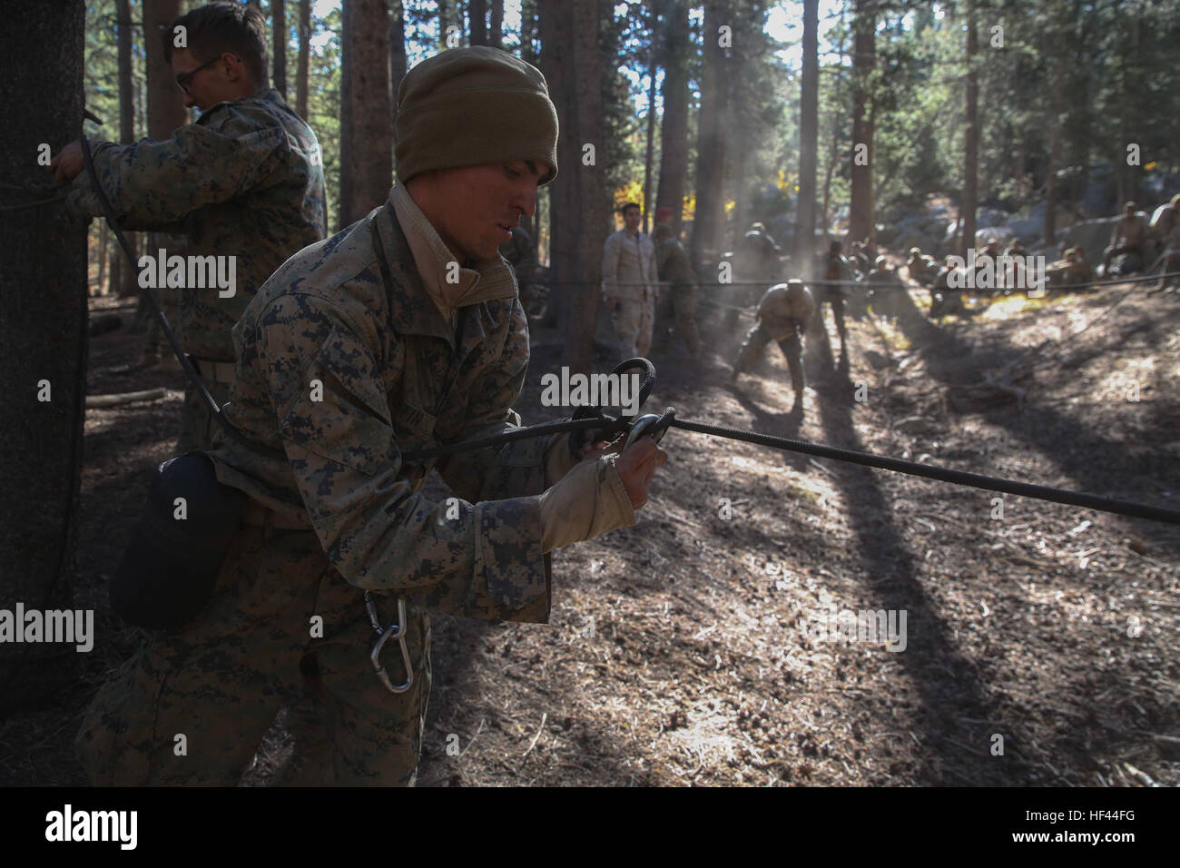 Shane Martin High Resolution Stock Photography and Images - Alamy