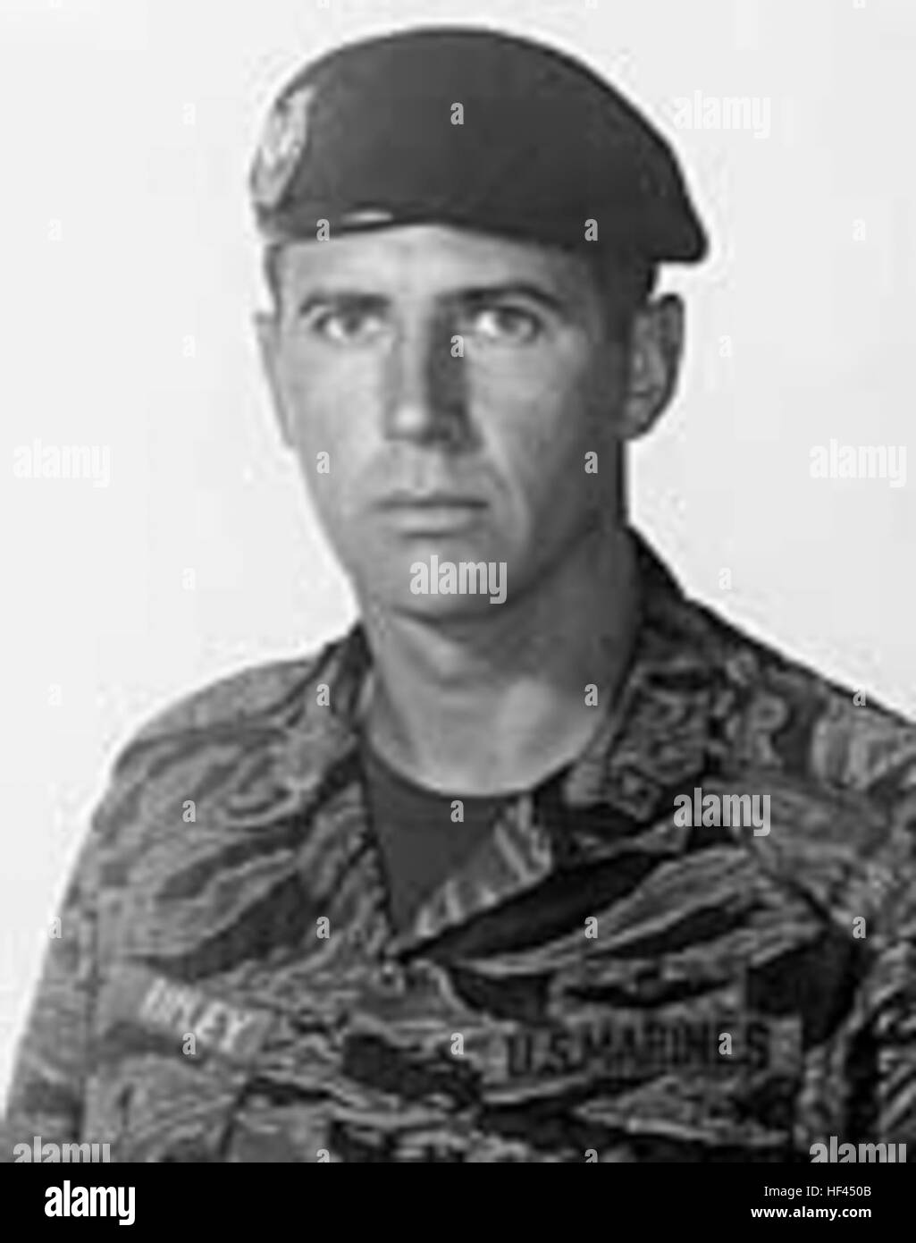 John Ripley High Resolution Stock Photography and Images - Alamy