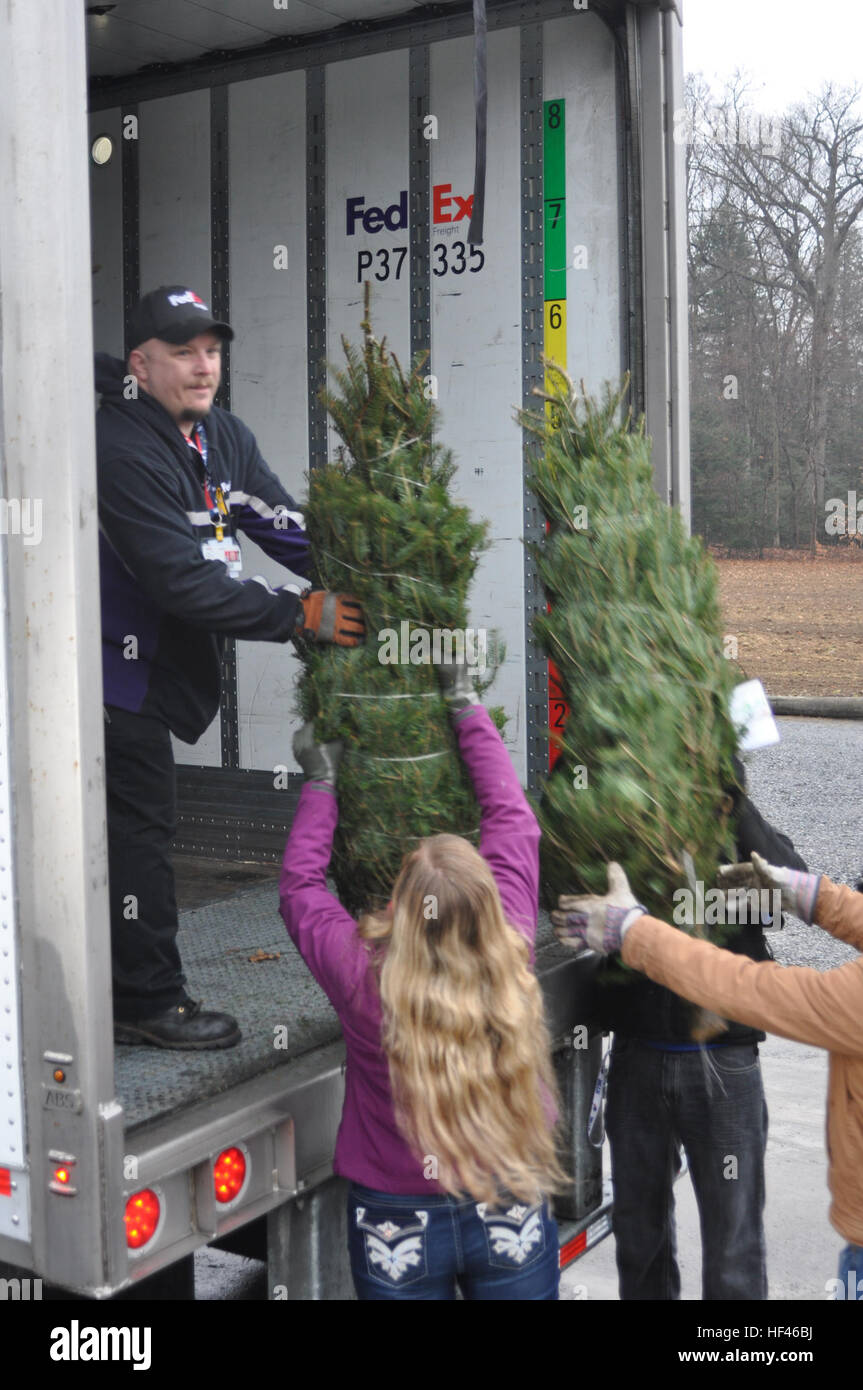 Load of christmas trees hi-res stock photography and images - Alamy