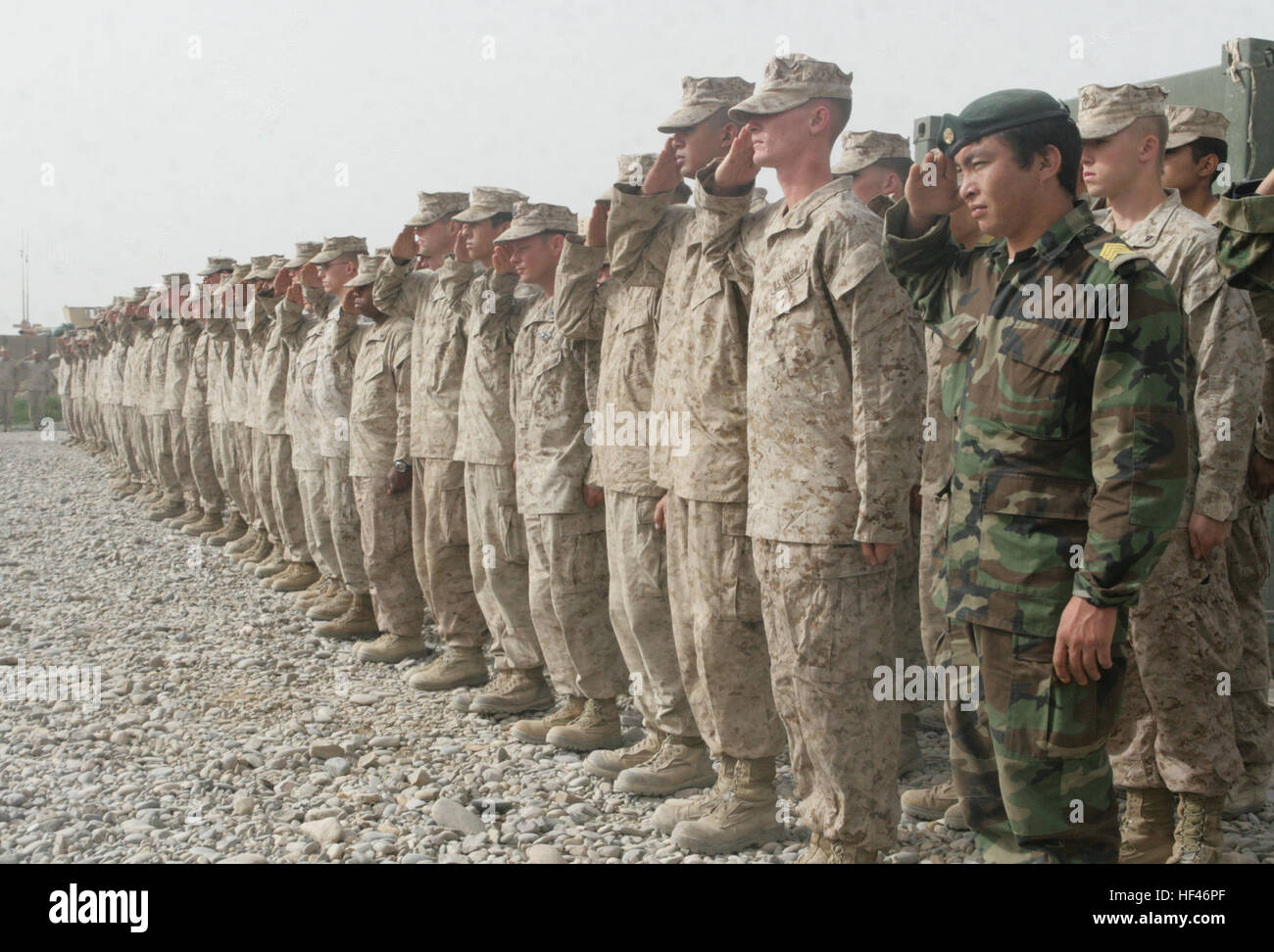 205 corps hi-res stock photography and images - Alamy