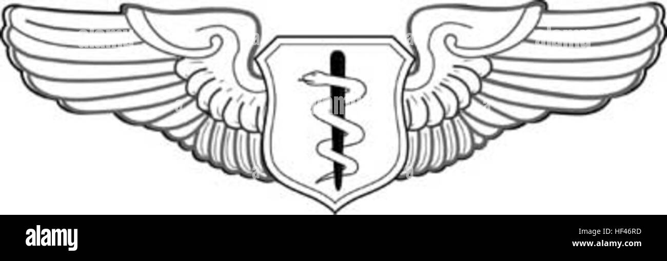 Flight surgeon badge hi-res stock photography and images - Alamy