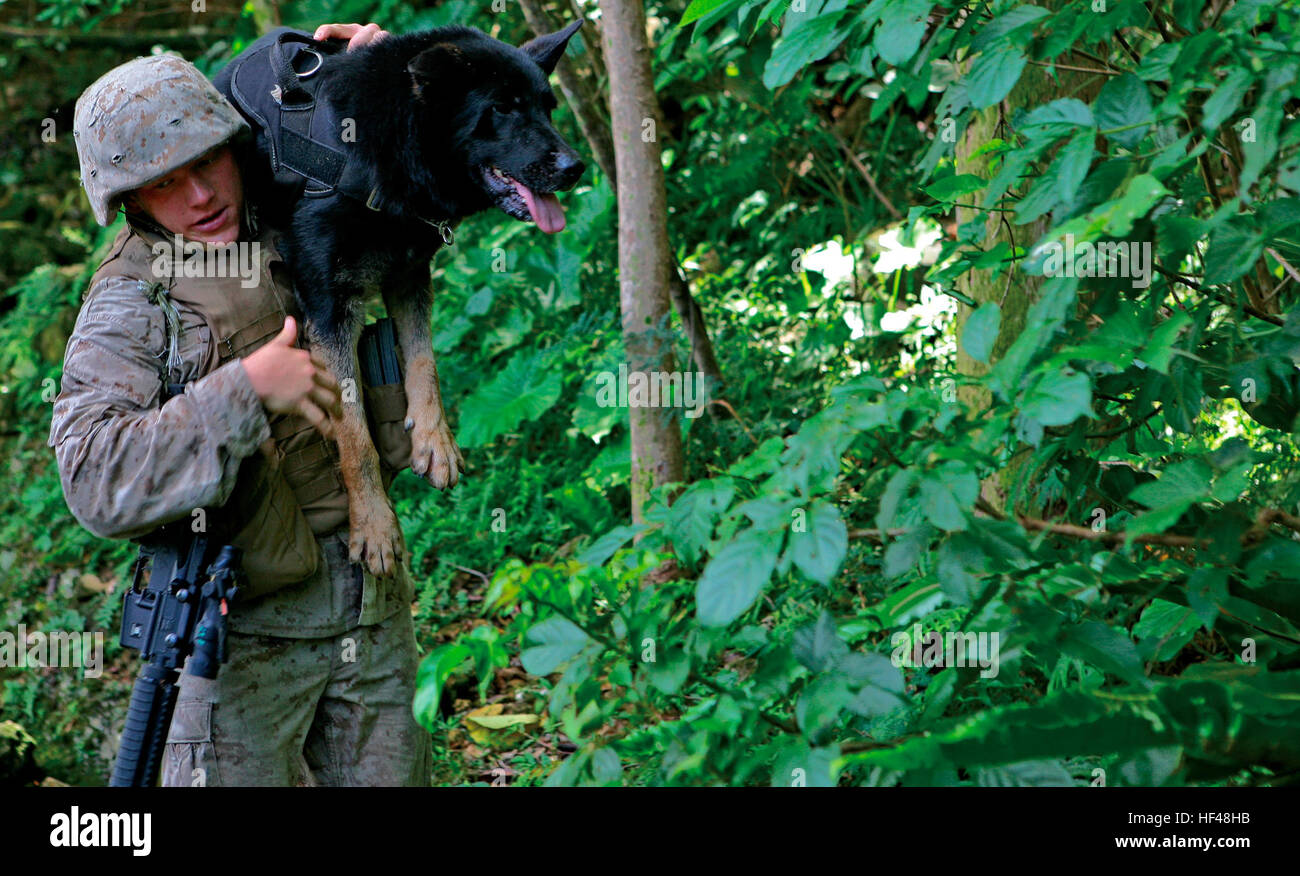 Cpl. Gary Rowan a combat tracking dog handler at Military Police ...
