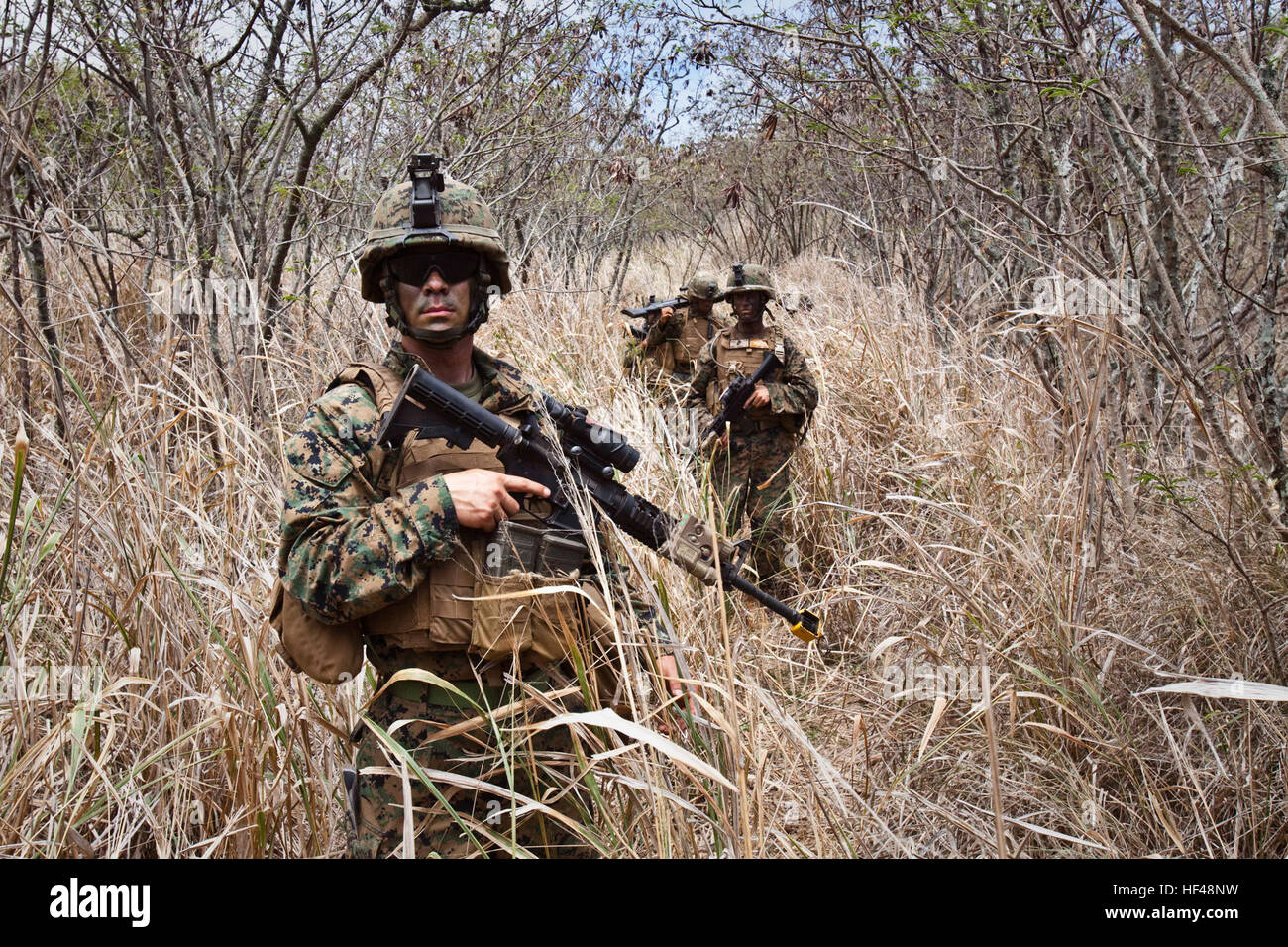 Flickr - DVIDSHUB - Learning the Purpose Behind the Task, Infantry ...